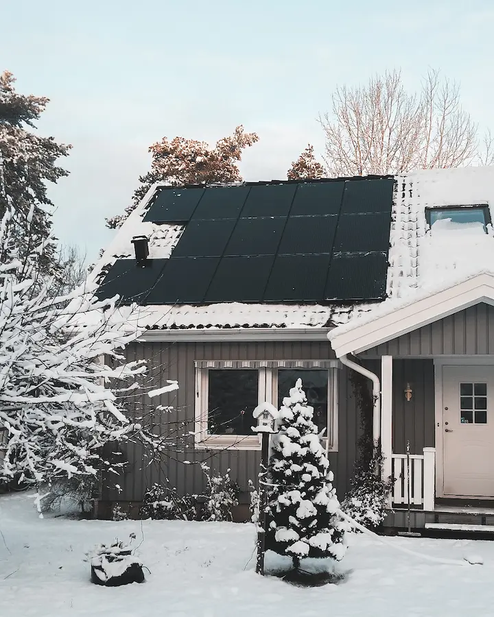 PV-Full-Black-Solarmodule – eine ausführliche Übersicht